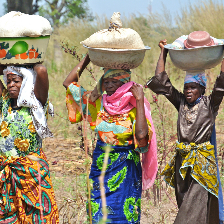 Our Story | Pure, Potent, Wild I KAIBAE | KAIBAE